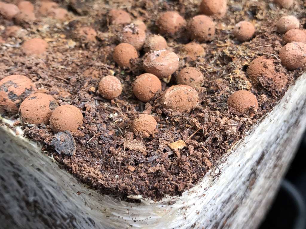 Kweekschema voor Terra - Cellmax