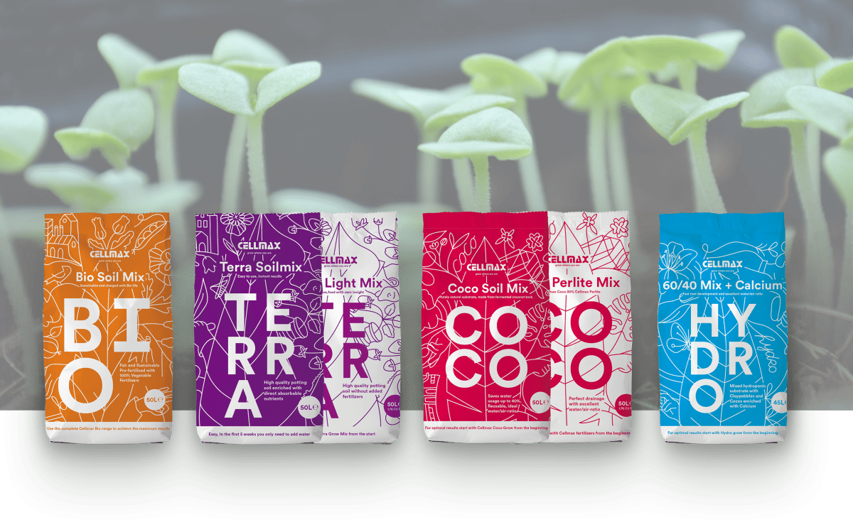 Calendrier de culture de Coco - Cellmax