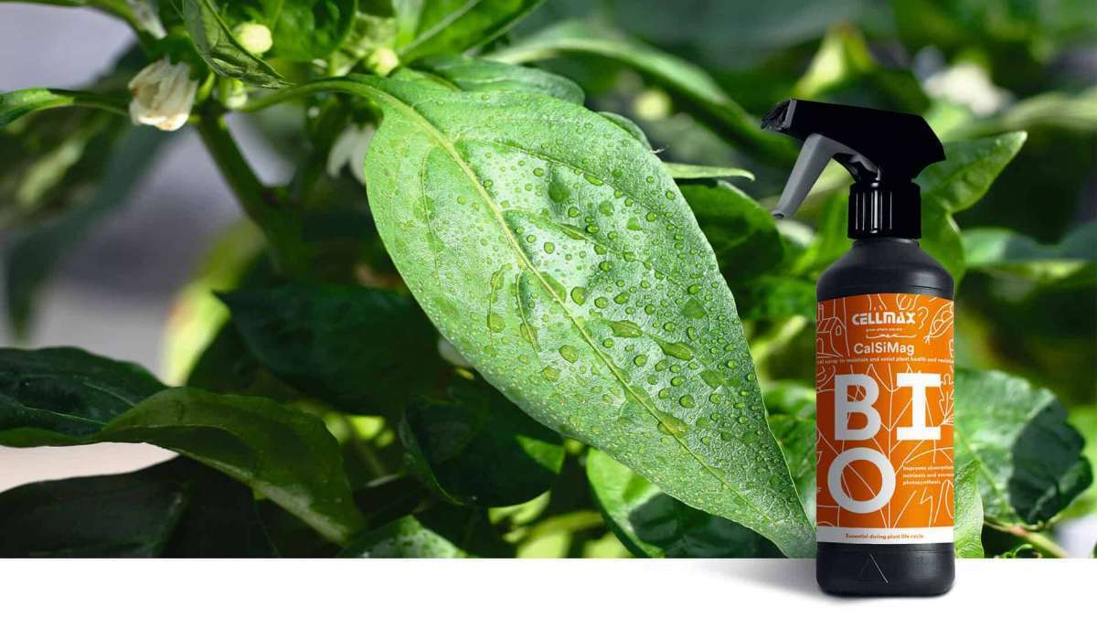 Informatie over additieven - Cellmax