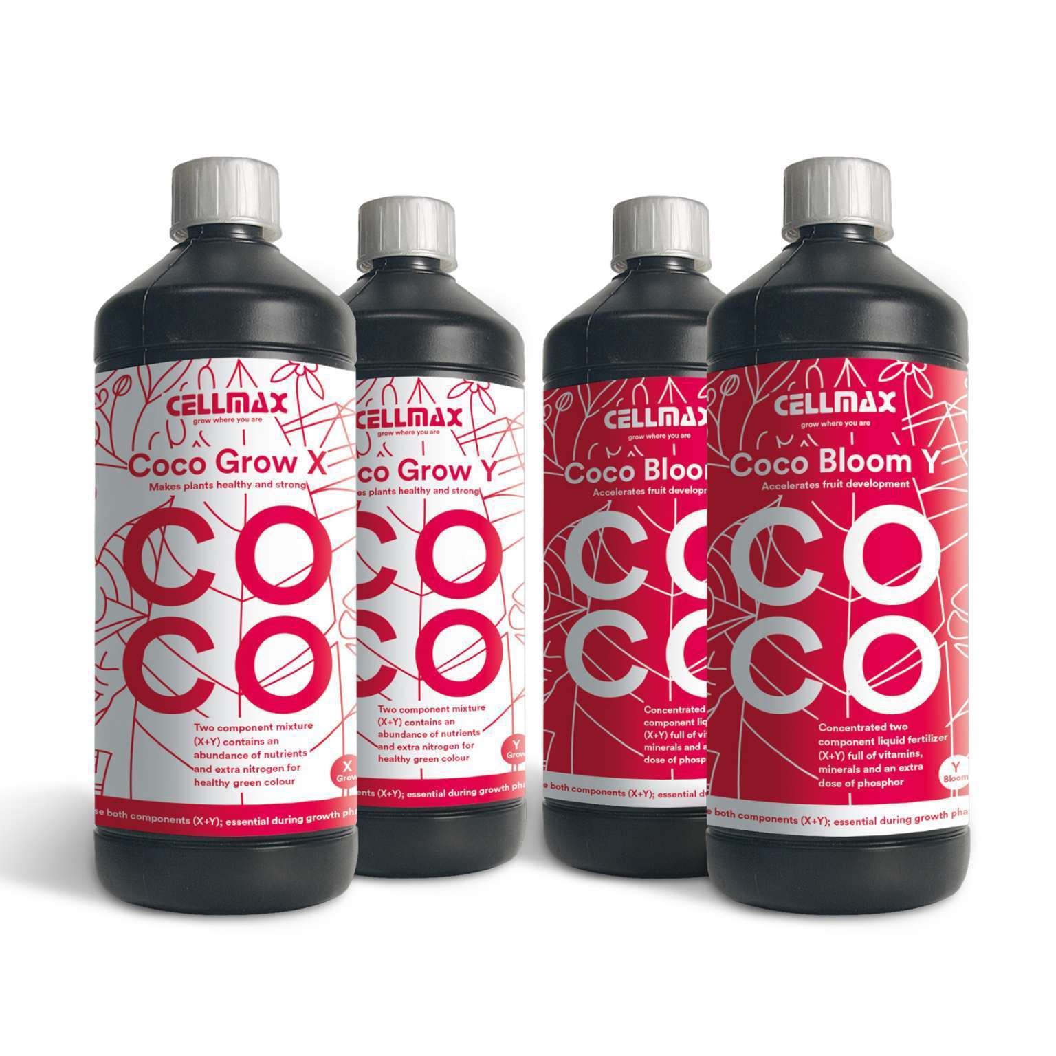 Coco set #1 - Cellmax