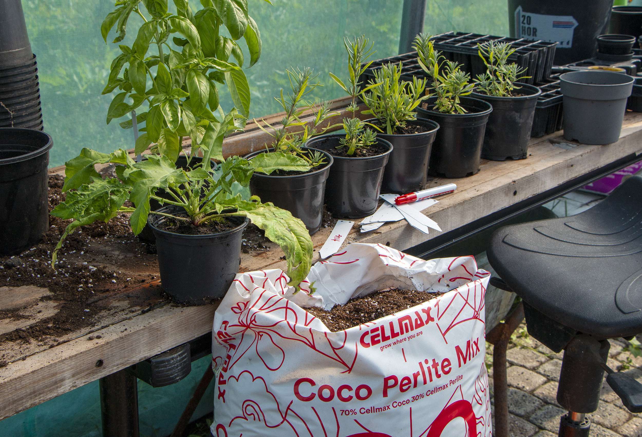 Cellmax Nutrients - Grow Where You are