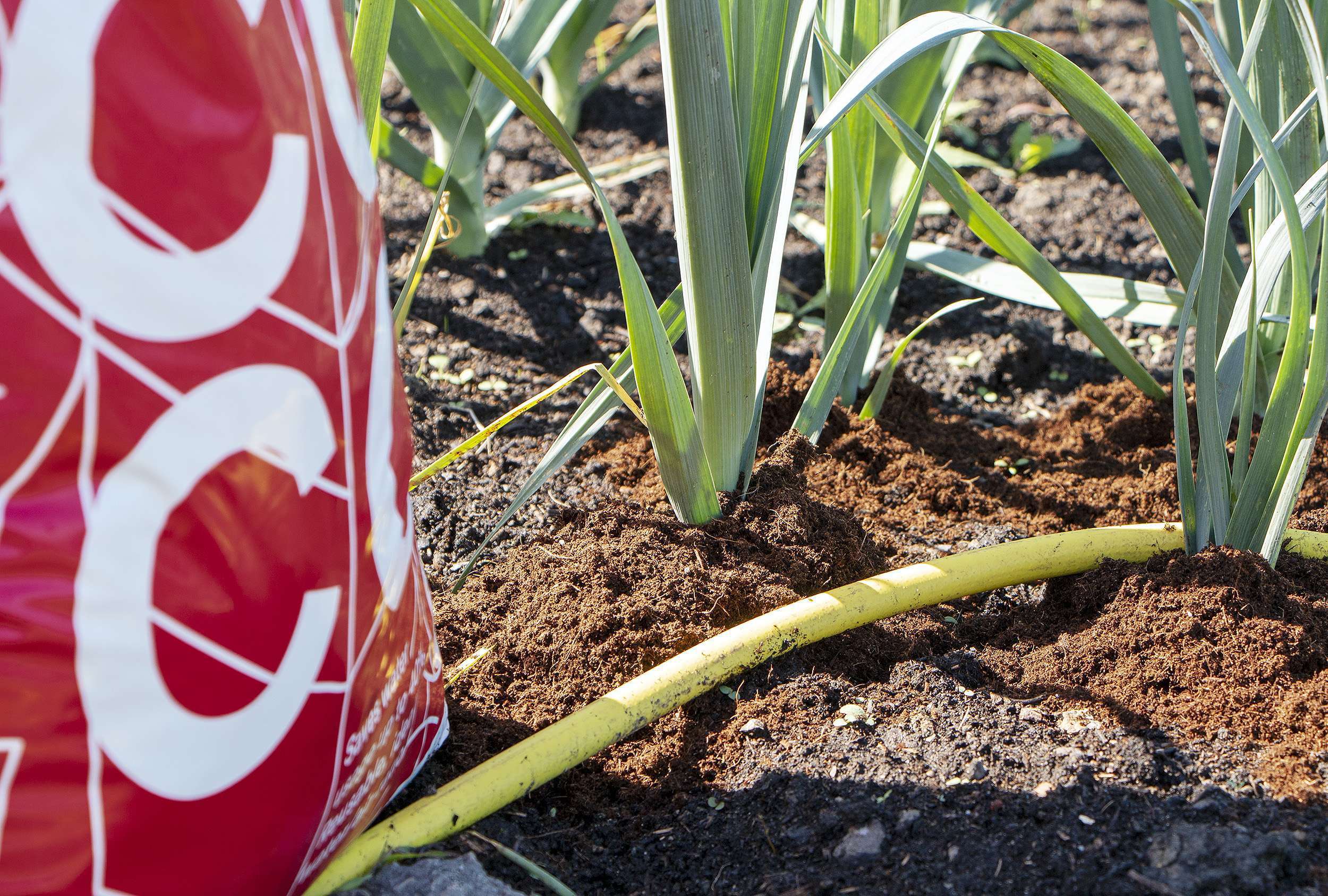 Cellmax Nutrients - Grow Where You are