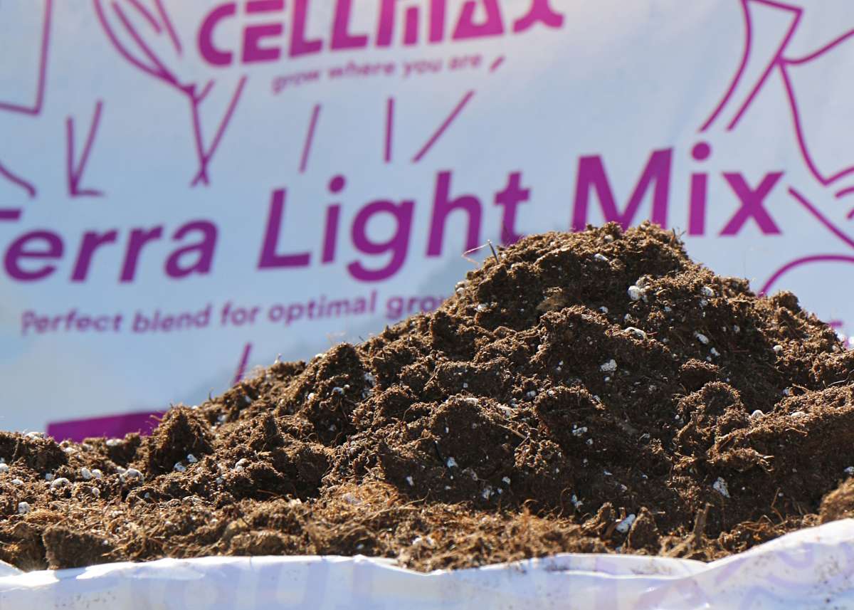 Cellmax Nutrients - Grow Where You are